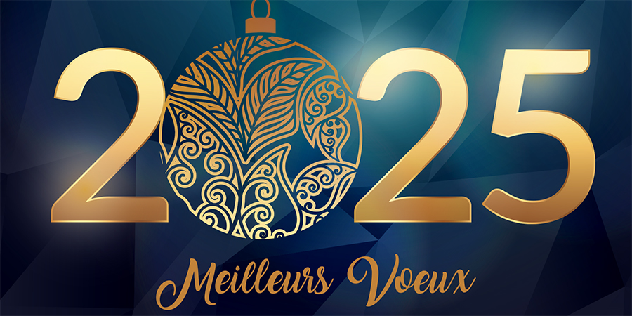 Meilleurs voeux 2025 - Palaiseau Ensemble